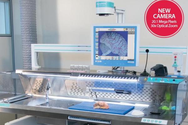 Digitális makrofotó - Milestone MacroPATH QX | TIBA Kft.